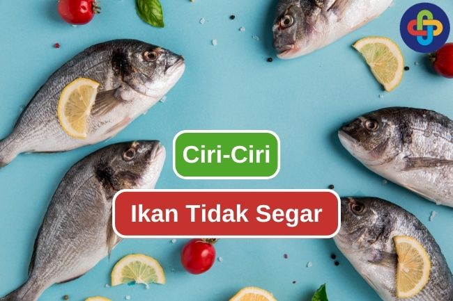 8 Ciri-ciri Ikan yang Sudah Tidak Layak Konsumsi