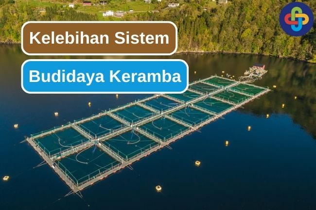 11 Kelebihan Sistem Keramba Sebagai Metode Budidaya Ikan
