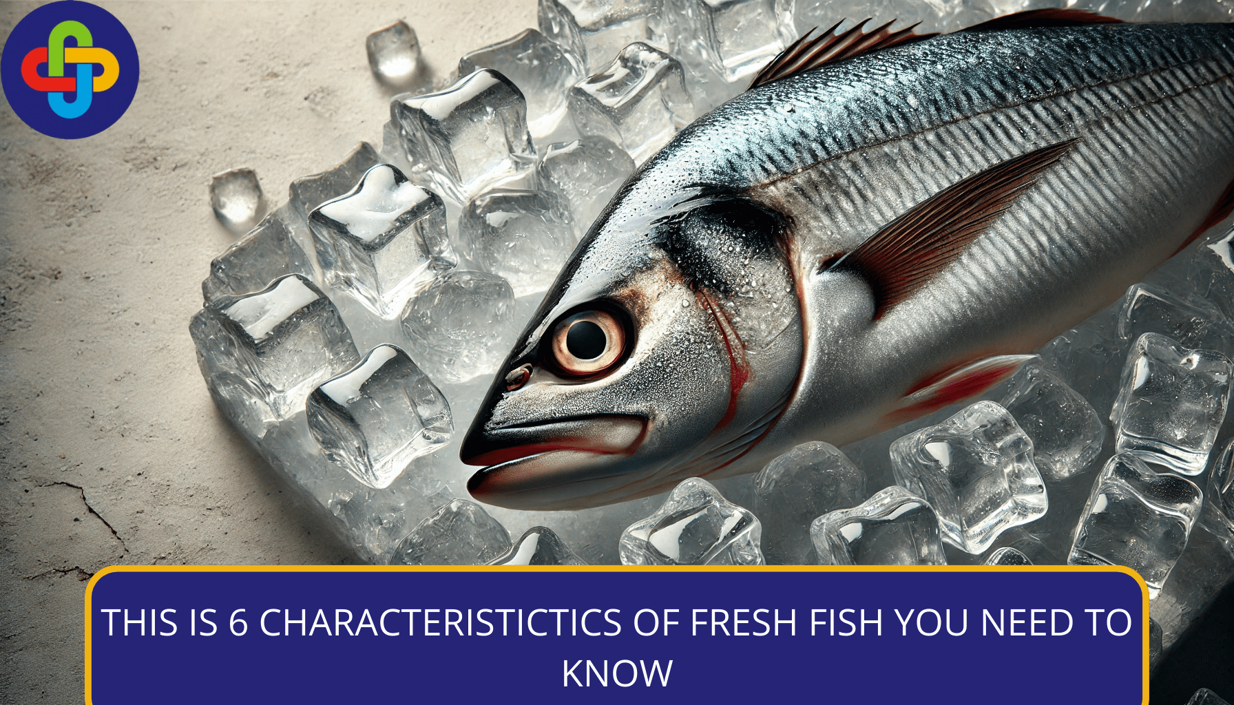 These are 6 Characteristics of Fresh Fish You Need to Know
