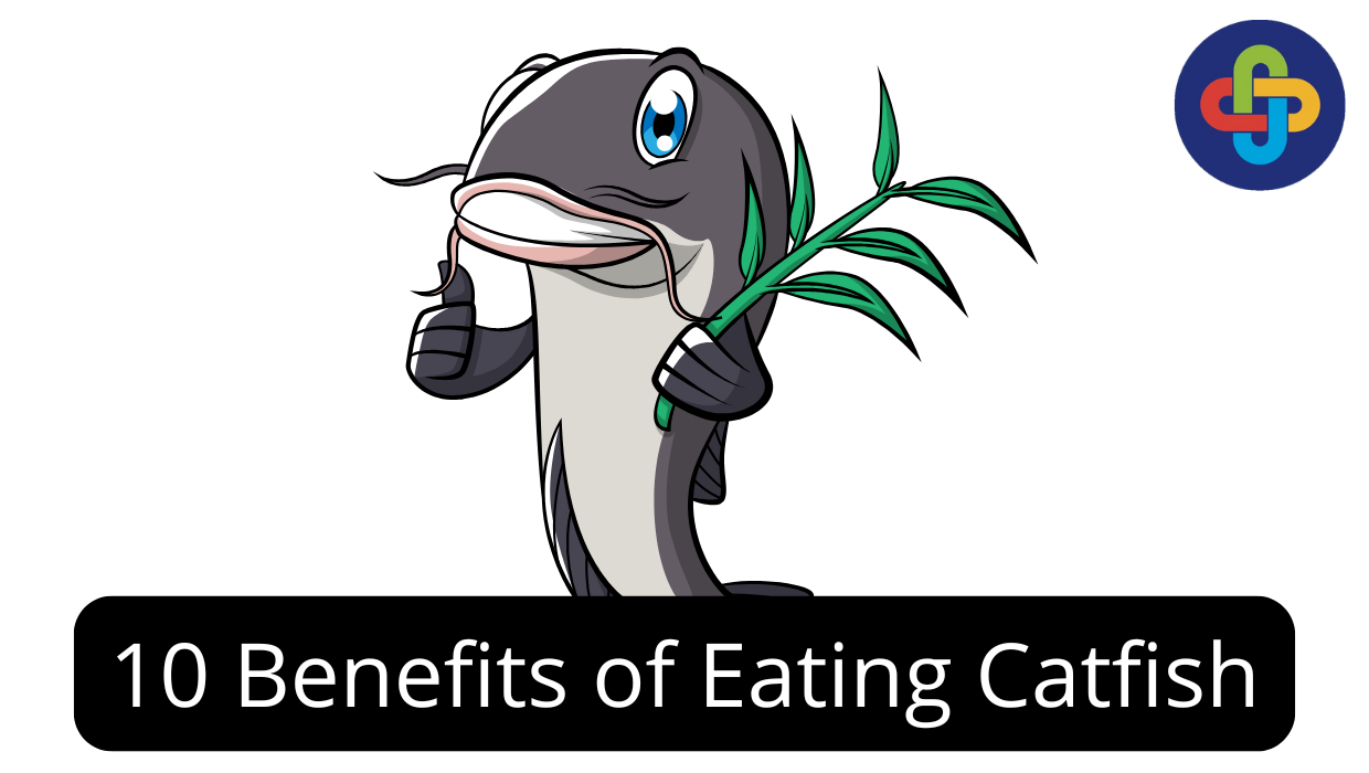 10 Benefits of Eating Catfish