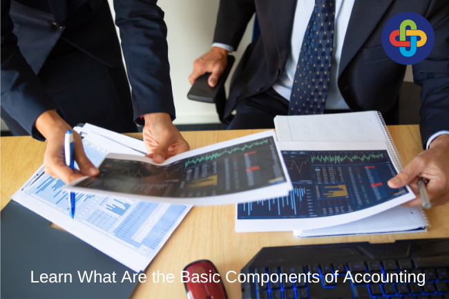 Learn What Are the Basic Components of Accounting